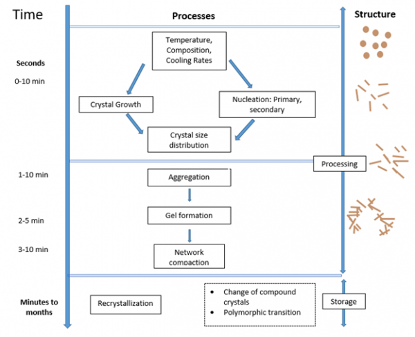 Food Science Corner: Fat Crystallization - An exclusive community for ...